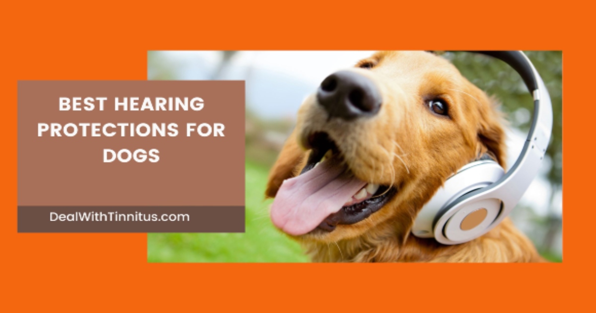 What Are The Best Hearing Protection Methods for Dogs