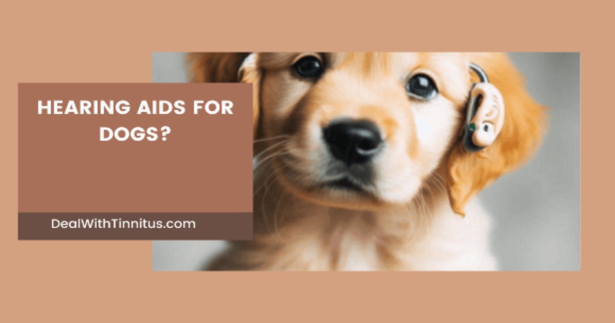 Have You ever Wondered If You Get Hearing Aids For Dogs?